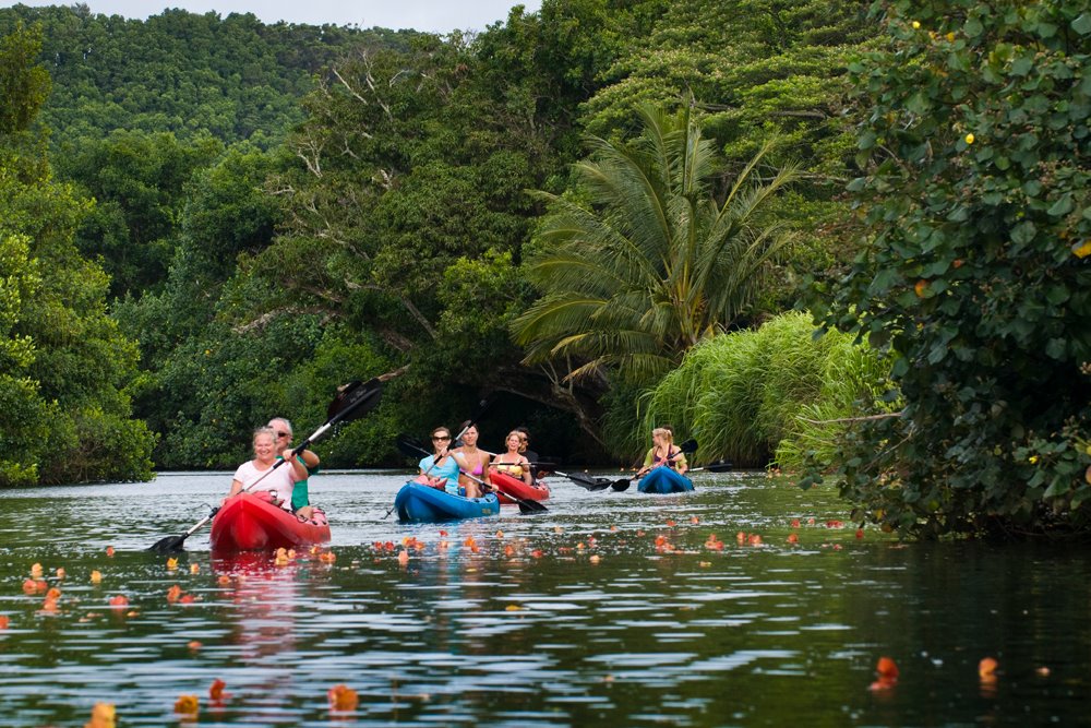 Outfitters Kauai Kipu Zipline Safari | Hawaii Adventure Center