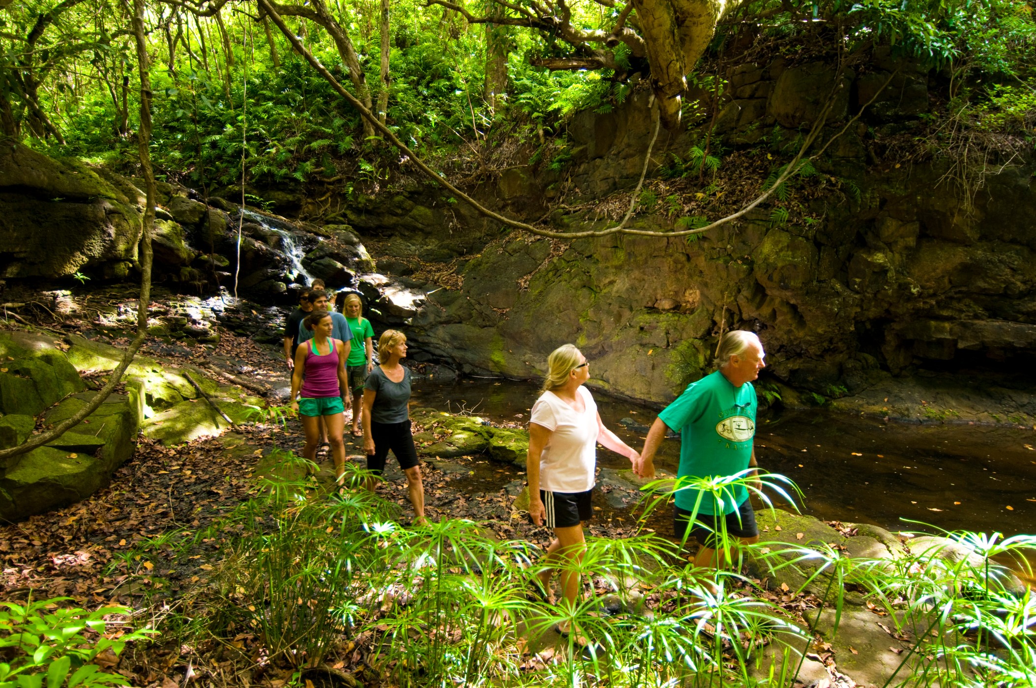 Kauaʻi Hidden Valley Falls Kayak & Hike | Hawaii Adventure Center