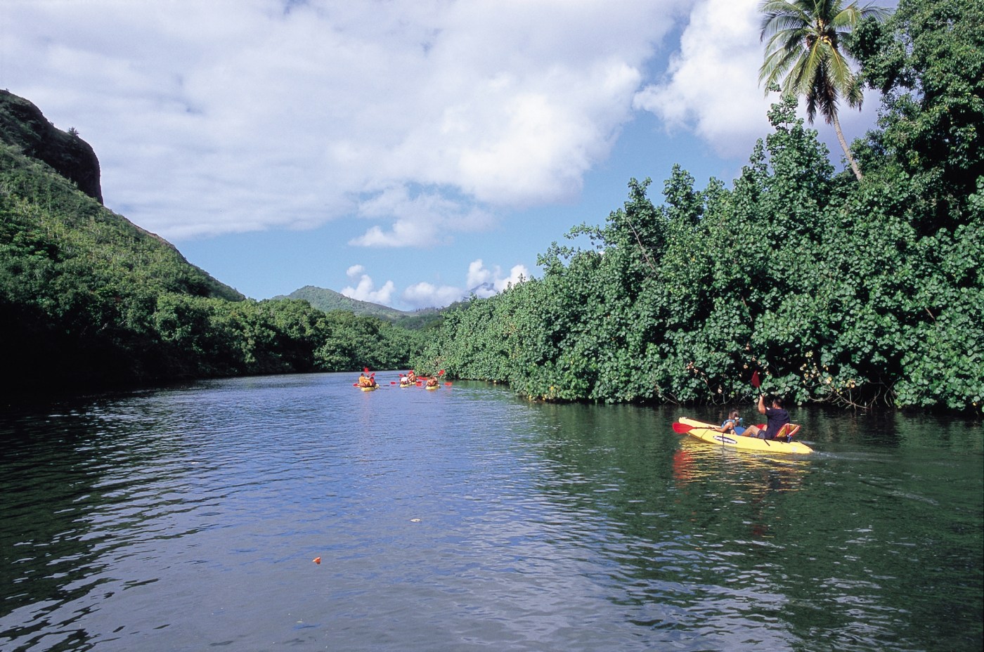 Secret Falls Tour | Hawaii Adventure Center