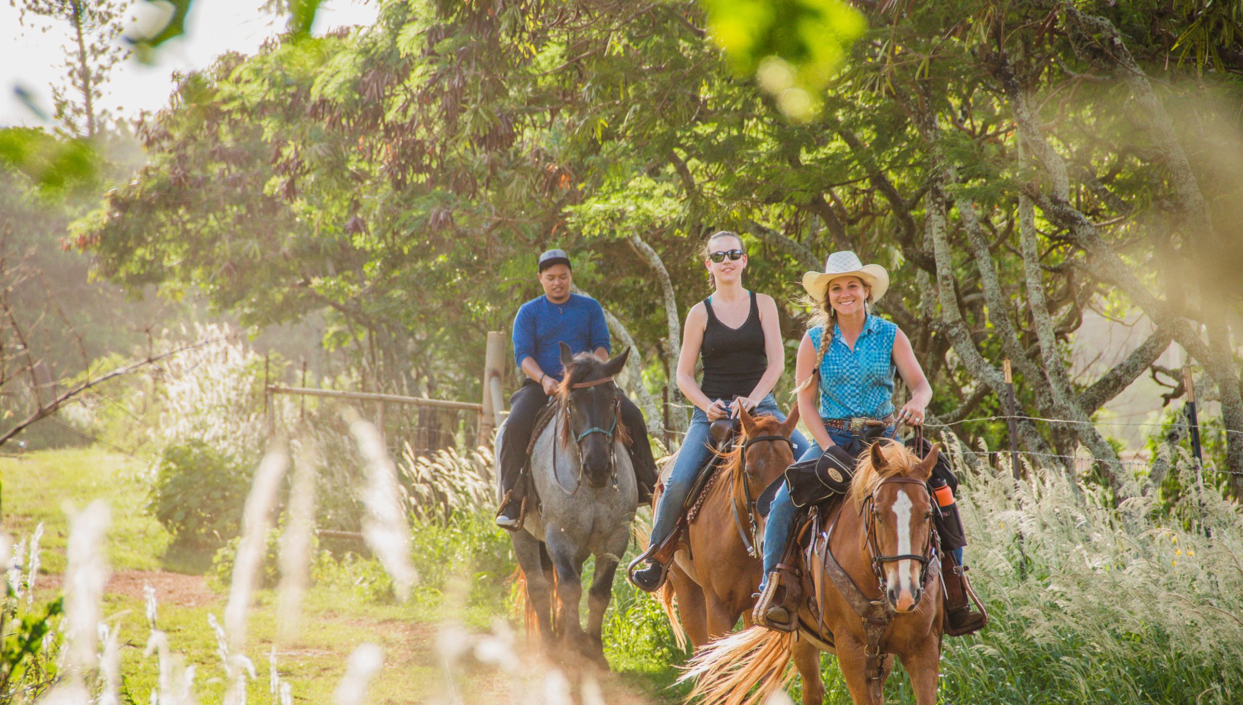 North Shore Horseback Riding Adventure | Hawaii Adventure Center