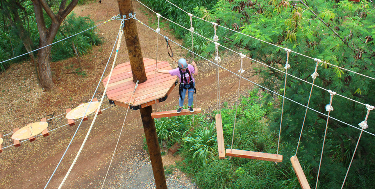 Aerial Challenge Course | Hawaii Adventure Center